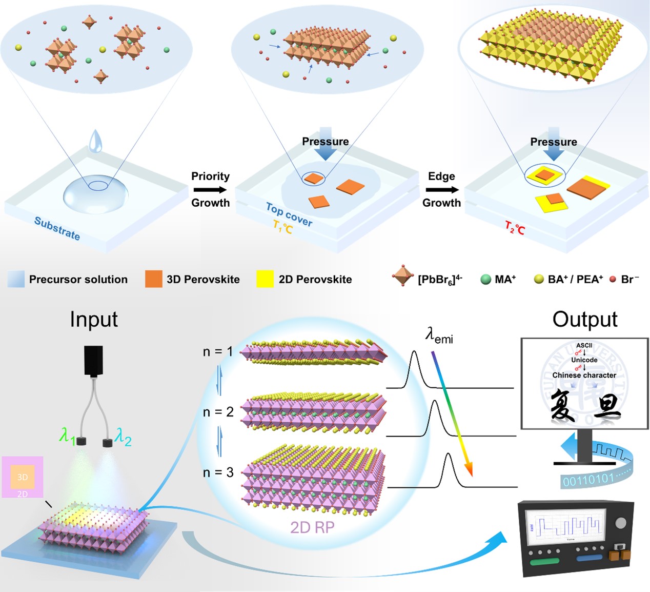 (6) Adv. Funct. Mater. 35 (2025) 2415491.-复旦大学材料科学系方晓生课题组